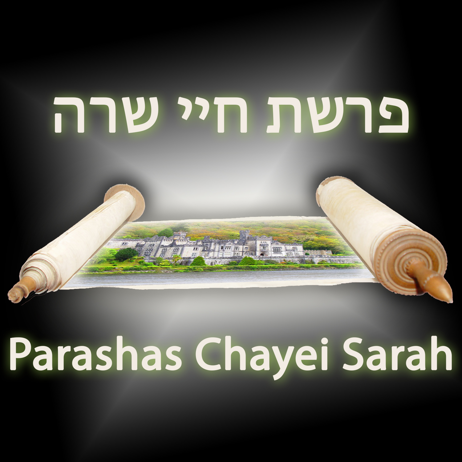 Parashas Chayei Sarah – Jewish Girls Unite