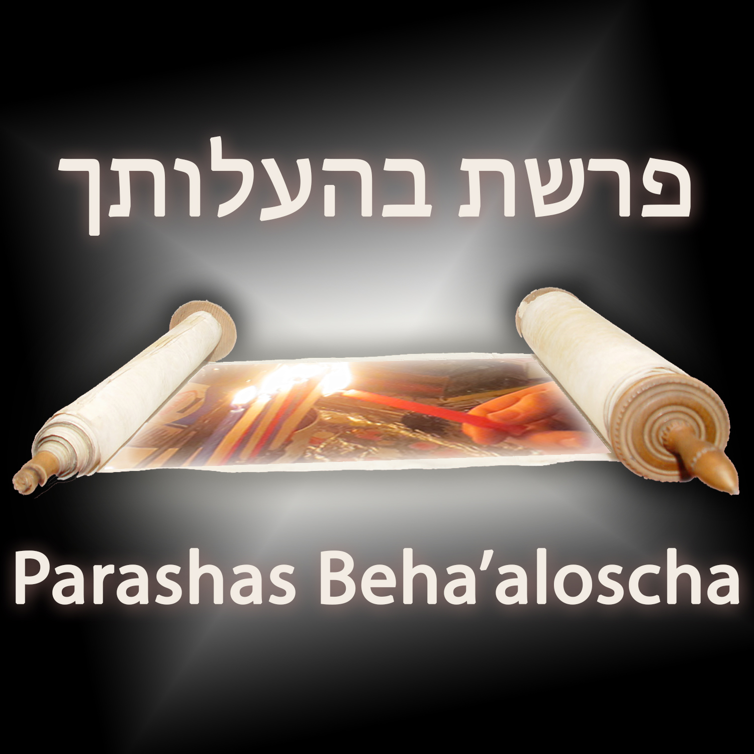 Parashas Beha’aloscha – Jewish Girls Unite