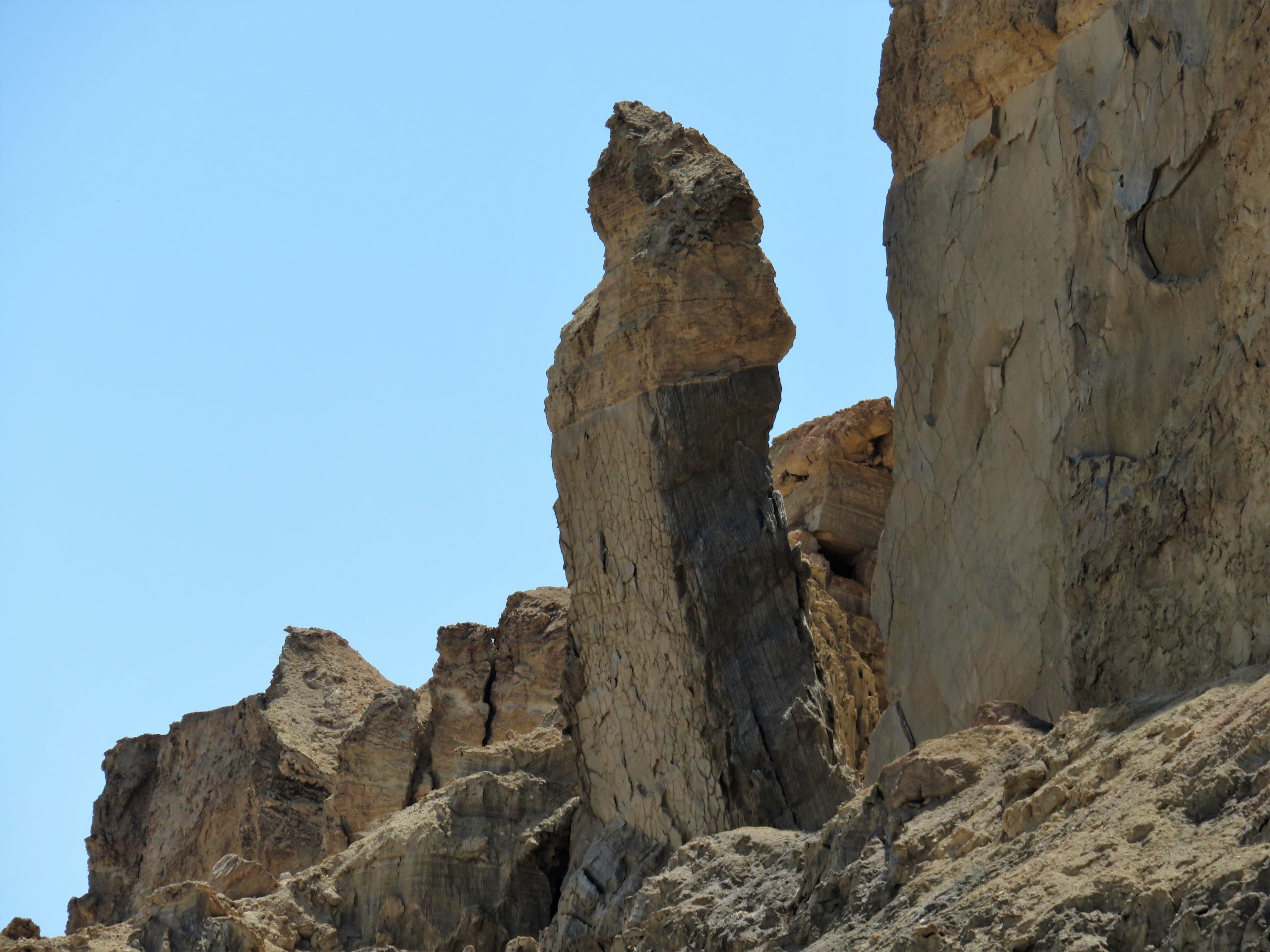 Picturing the Parsha: Vayeira – Jewish Girls Unite